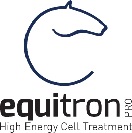 equitron Therapie - Gesundheit fürs Pferd - Startseite